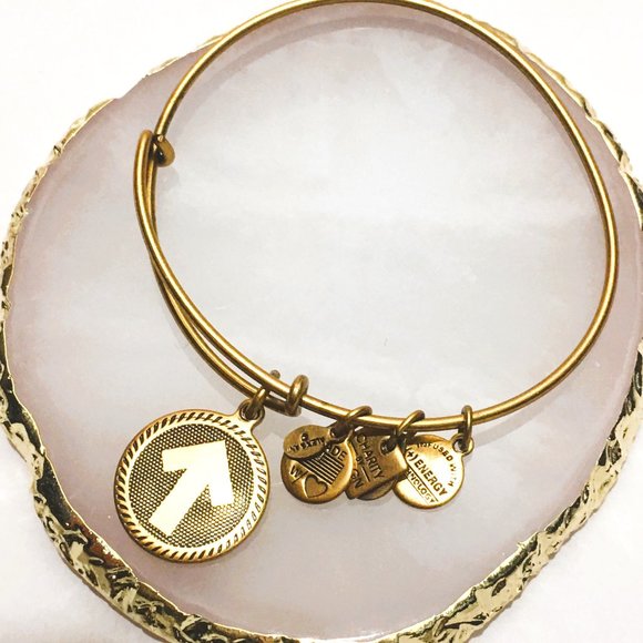 Alex and Ani | Jewelry | Alex And Ani Stand Up To Cancer Bange ...